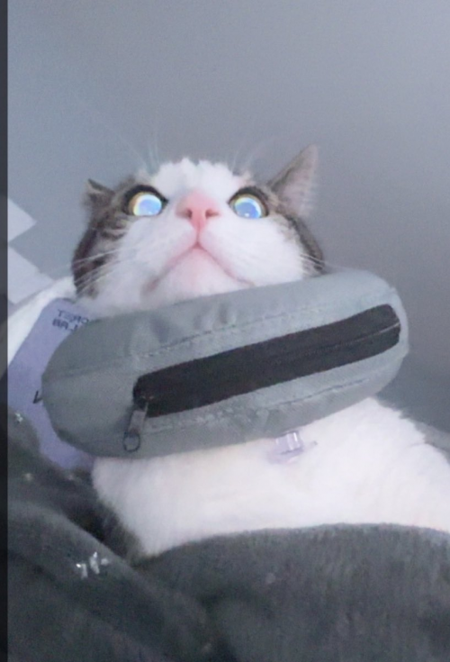 Create a astelic youtube vids Tier List - TierMaker