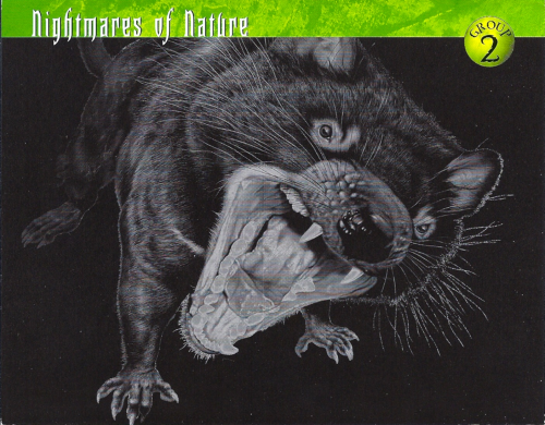 Create a Nightmares of nature cards Tier List - TierMaker