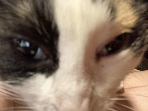 Create a best rappers ever Tier List - TierMaker