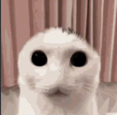 Create a All Kat Basic characters Tier List - TierMaker