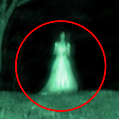 Create a Paranormal Creatures Tier List - TierMaker