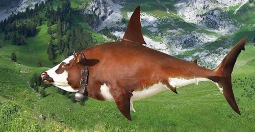 Create a HOURS Hosts Tier List - TierMaker