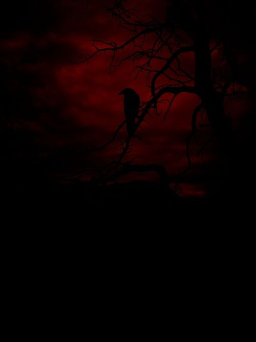 Create a A Murder of Crows RPG Tier List - TierMaker