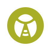 Create a All Bug Pokémon (Gen I - Gen IX) Tier List - TierMaker