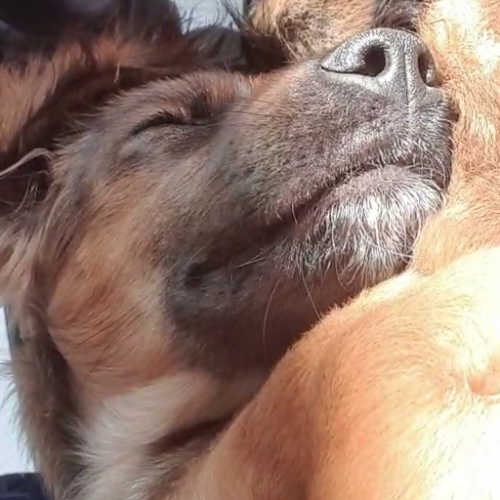 Create a Sticker di Olivia Tier List - TierMaker