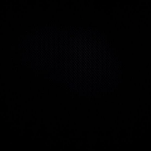 Create a PvZH Comp Players May 2025 Tier List - TierMaker