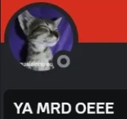 3°MB Tier List (Community Rankings) - TierMaker