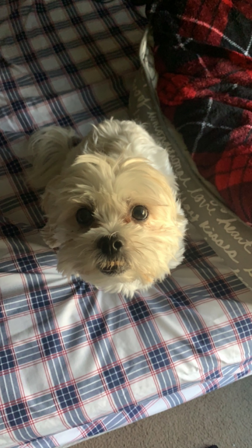 ALL TIME VIDEO GAME PHASE TIER LIST Tier List (Community Rankings ...