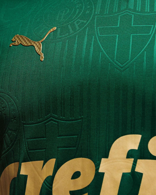 Ranking Puma no Palmeiras - 2019~2024 Tier List (Community Rankings ...