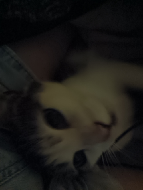 Create a BBC One Idents 1997-2021 (BBC GillSans era) Tier List - TierMaker