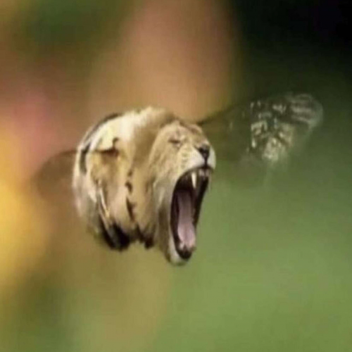 Create a M Tier List - TierMaker