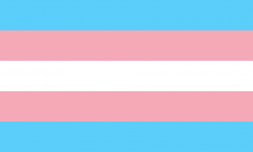 Create a canonically transgender characters Tier List - TierMaker