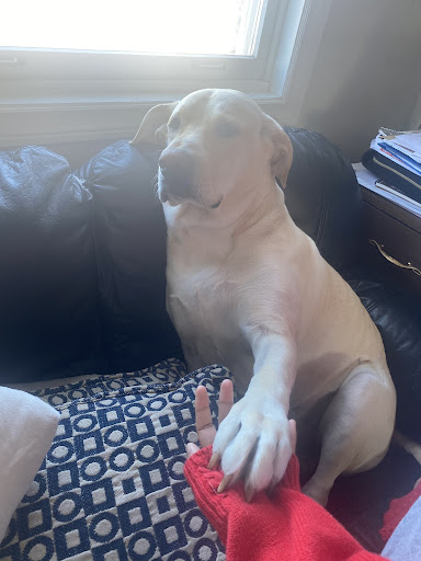 Create a 1s Tier List - TierMaker