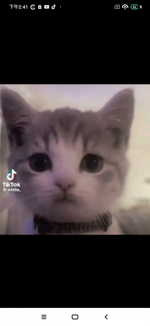 My tiktok friends! :3 Tier List (Community Rankings) - TierMaker