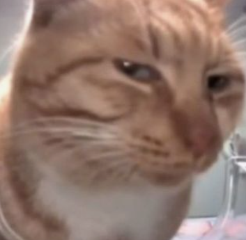 Ambuff OC :3 Tier List (Community Rankings) - TierMaker