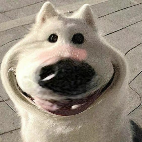 DECALS RLCS 2024 Tier List (Community Rankings) - TierMaker