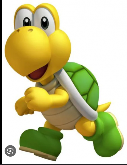 Create a Koopa troopas Tier List - TierMaker