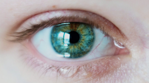 Random Character Tier List (Community Rankings) - TierMaker