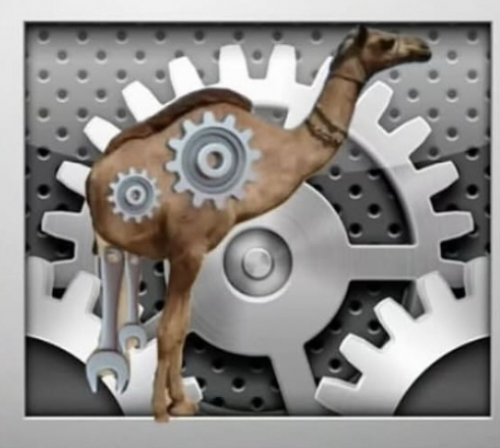 Create a crankmyhog.com Tier List - TierMaker