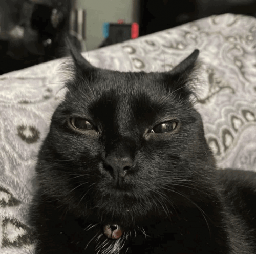 f Tier List (Community Rankings) - TierMaker