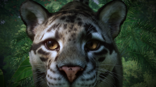 PLANET ZOO DLC ANIMALS Tier List (Community Rankings) - TierMaker