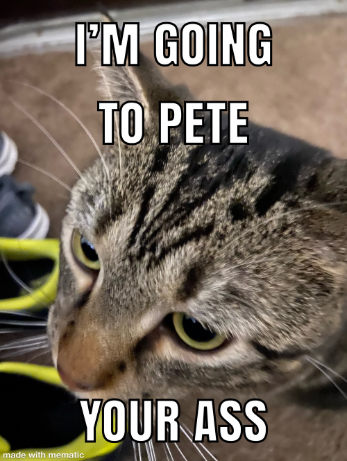 80 muscles for my anatomy exam this week ranked by hot Tier List (Community Rankings) - TierMaker