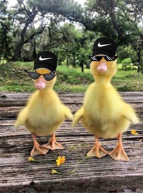 Rpg do Pato emo Tier List (Community Rankings) - TierMaker