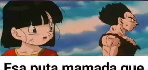 Create a (Inside Joke) GC tier/ss tier Tier List - TierMaker