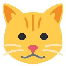 Create a 2024 cat meme TierList Tier List - TierMaker