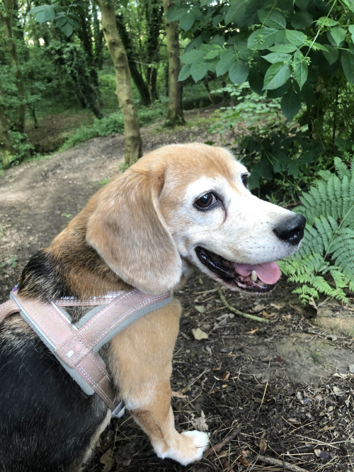 GTD Tierlist Tier List (Community Rankings) - TierMaker