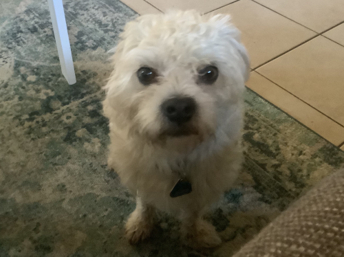 Create a Bo Nr1 Tier List - TierMaker