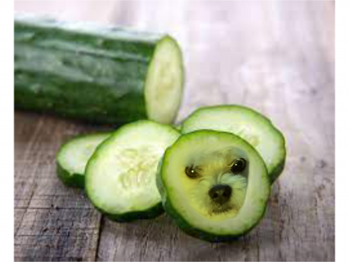 Create A Bo Tierlist Nr2 Tier List Tiermaker