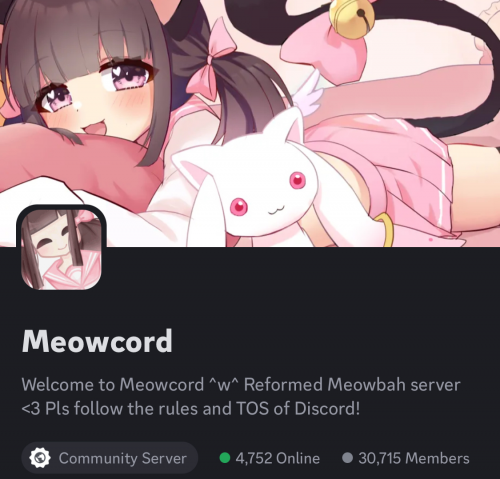 Create A Meowcord Mod Tierlist 2024 Tier List Tiermaker