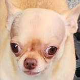 Locked: Weapons Tierlist Tier List (Community Rankings) - TierMaker