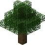 Create a Minecraft Tree Rank Tier List - TierMaker