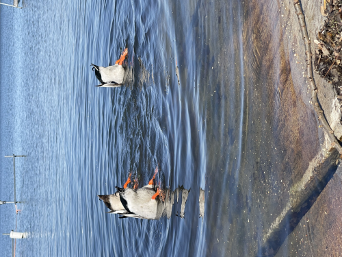 Create a Instrument Collection Tier List - TierMaker