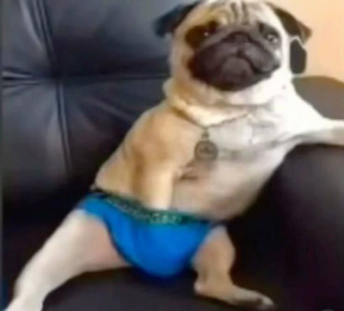 Anime Bloggers Tier List (Community Rankings) - TierMaker