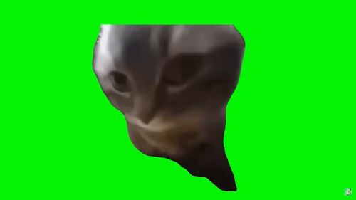 Create a cat meme Tier List - TierMaker