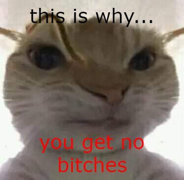 Children of The Scales Tier List (Community Rankings) - TierMaker