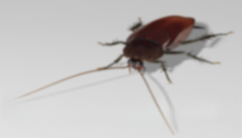 Fortnite Seasons 1-28 Tier List (Community Rankings) - TierMaker