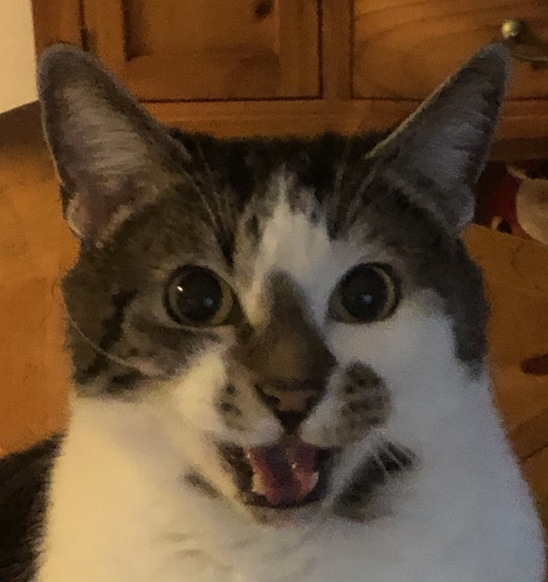 Vincent 2024 Games Tier List (Community Rankings) - TierMaker