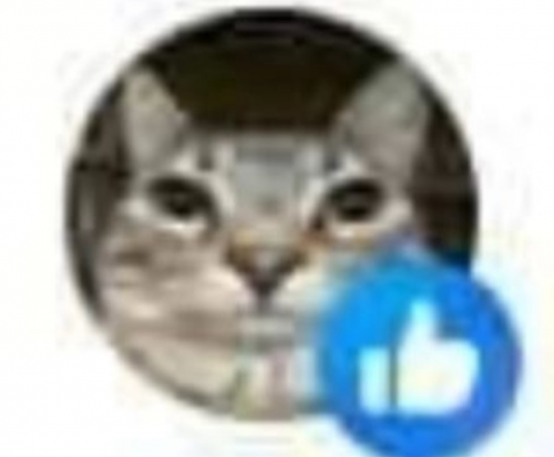 Create a Jko's pfp Tier List - TierMaker