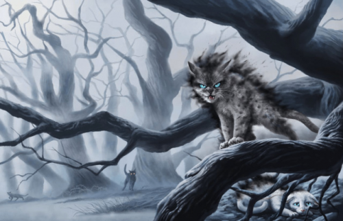 Create A Dark Forest Cats Warrior Cats Tier List TierMaker Create A Dark Forest Cats Warrior Cats Tier List TierMaker
