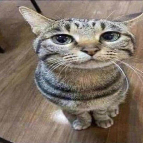 the good shit Tier List (Community Rankings) - TierMaker