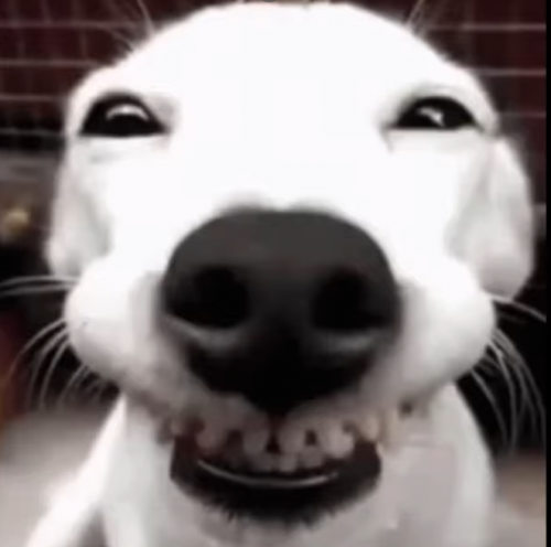 UFS Character, Weapon, Armor, Healing, and Souls Tier List (Community ...