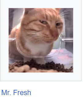 Hello Street Cat Tier List (Community Rankings) - TierMaker