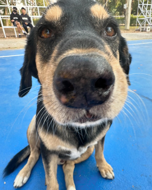 Create a 301 DMSU28 Classmates Tier List - TierMaker