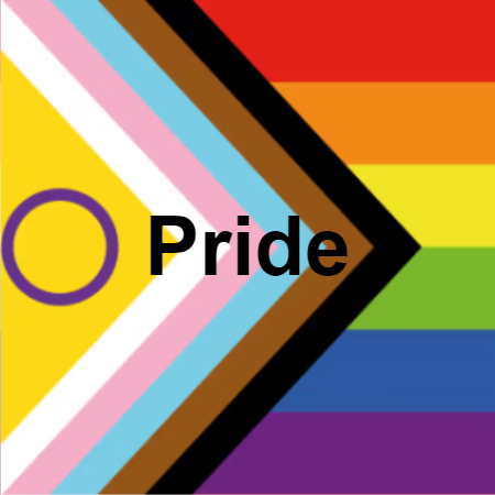 Create a Every pride flag Tier List - TierMaker