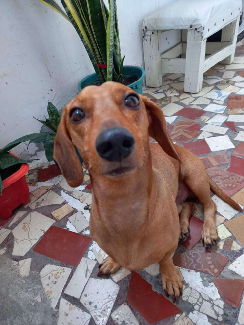 Sony Symbiotes Inverse Tier List (Community Rankings) - TierMaker