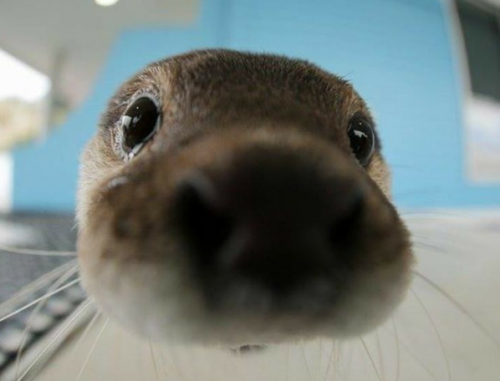 Red Flags Tier List (Community Rankings) - TierMaker